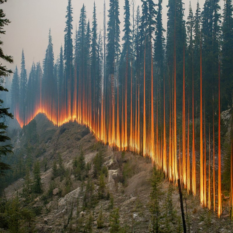 Wildfire Preparedness – A Literature Review of Wildfire Hazards